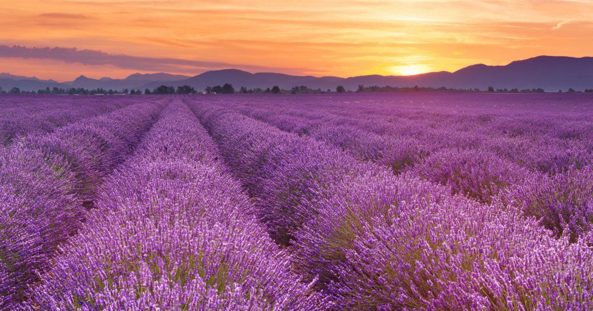 Supervisie | Edelijn Coaching & Supervisie